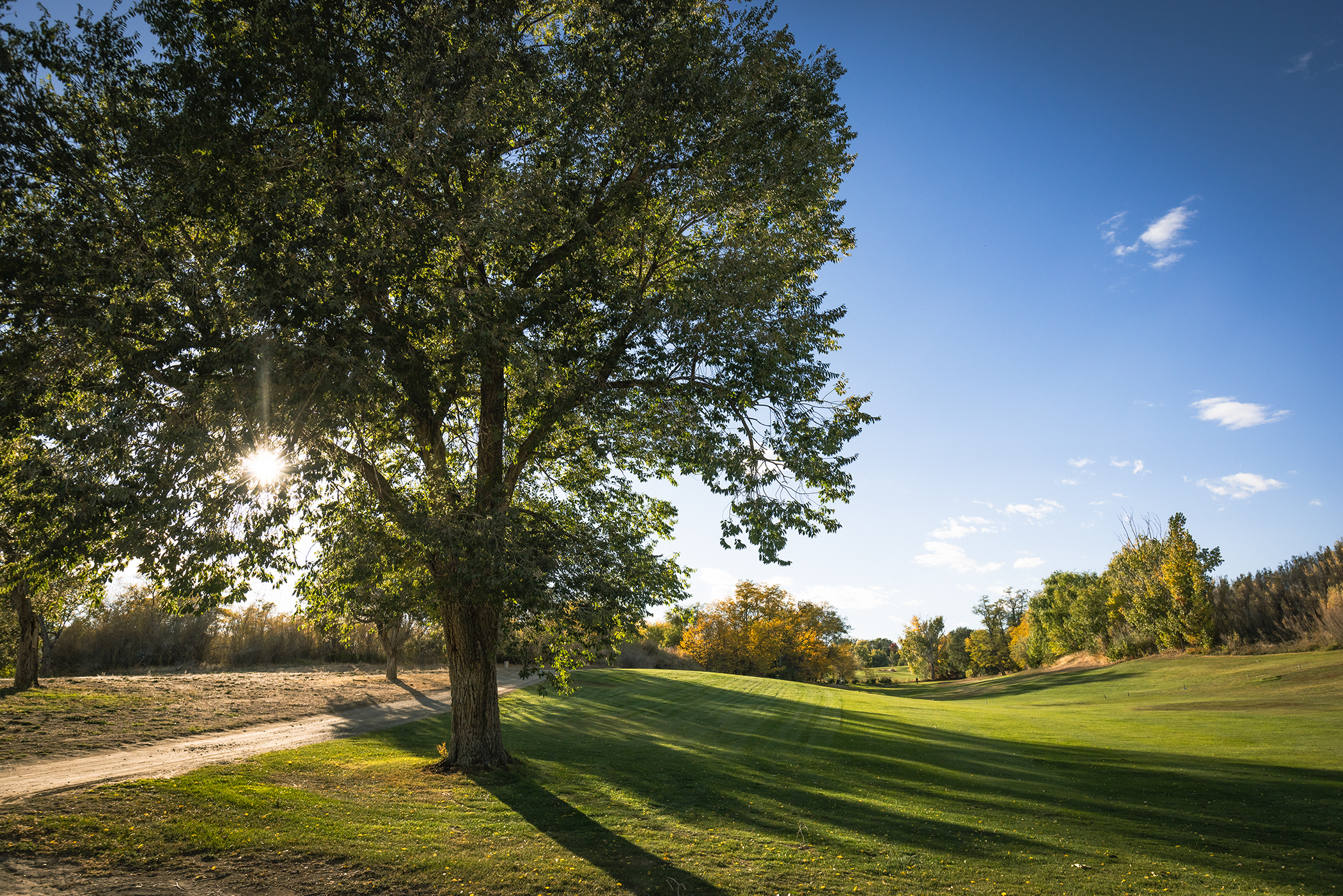 Home - Washoe County Golf Club